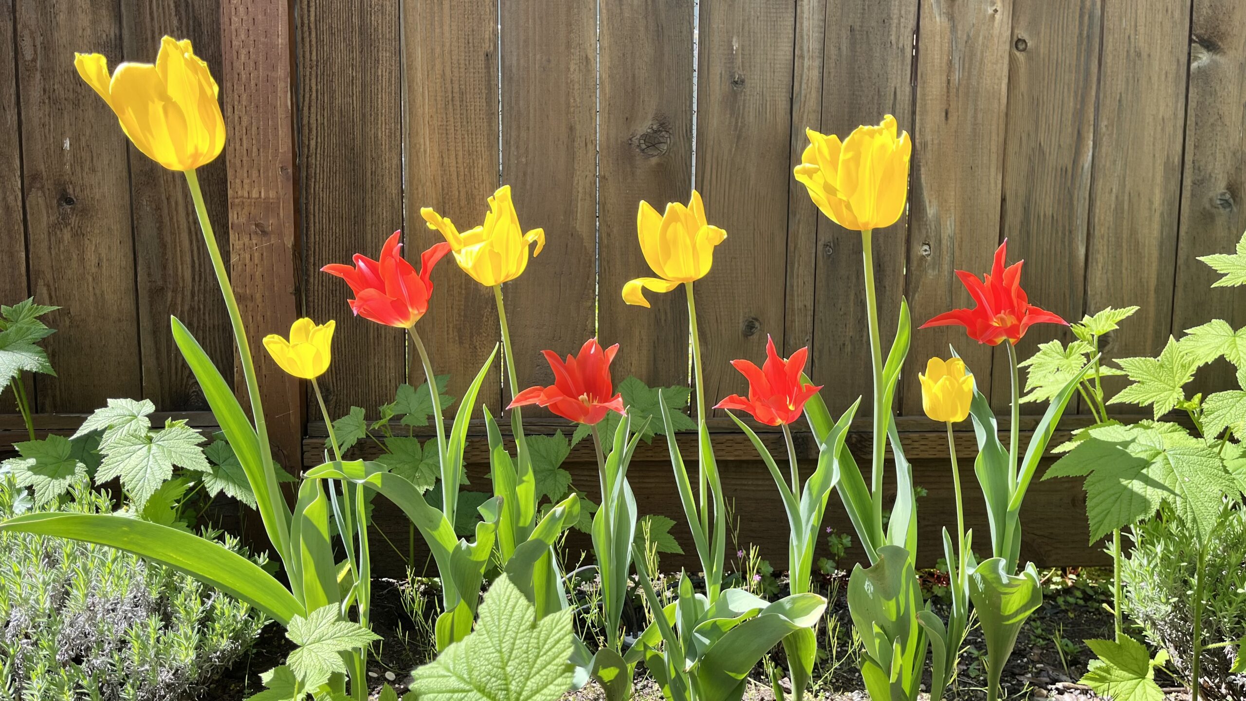 Your Weekend Reader for March 7-8 | Mike McInally